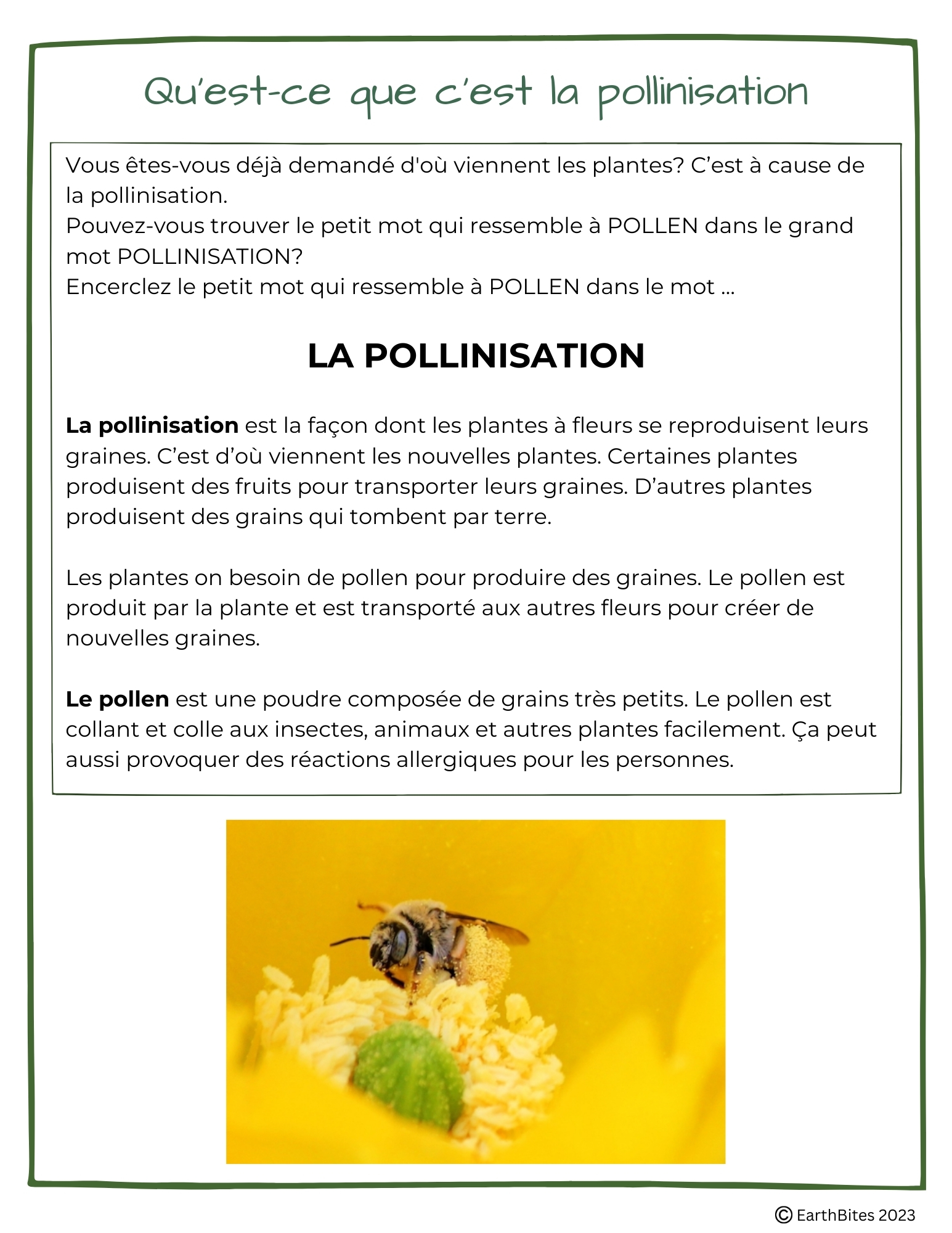 Pollination Primary Workbook - Earthbites