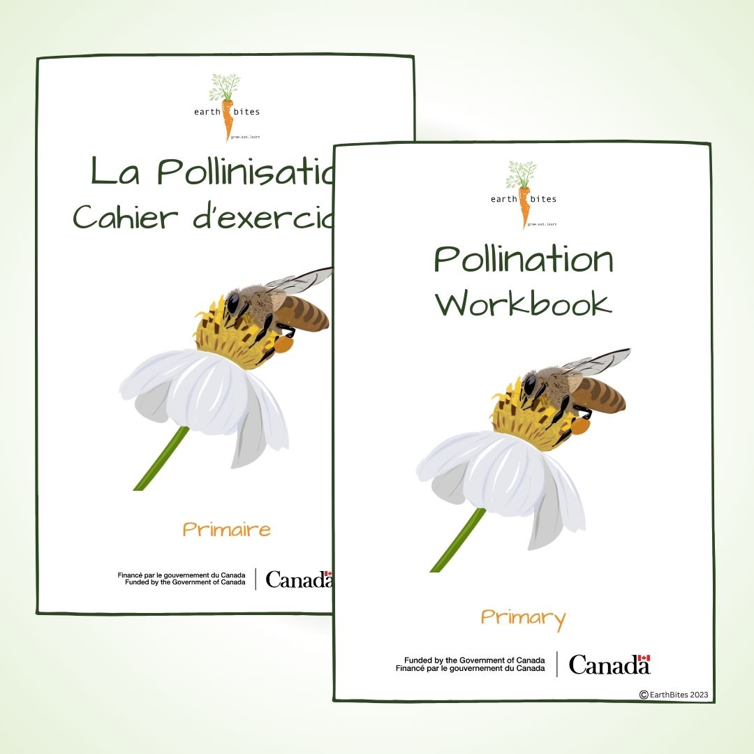 Pollination Primary Workbook - Earthbites